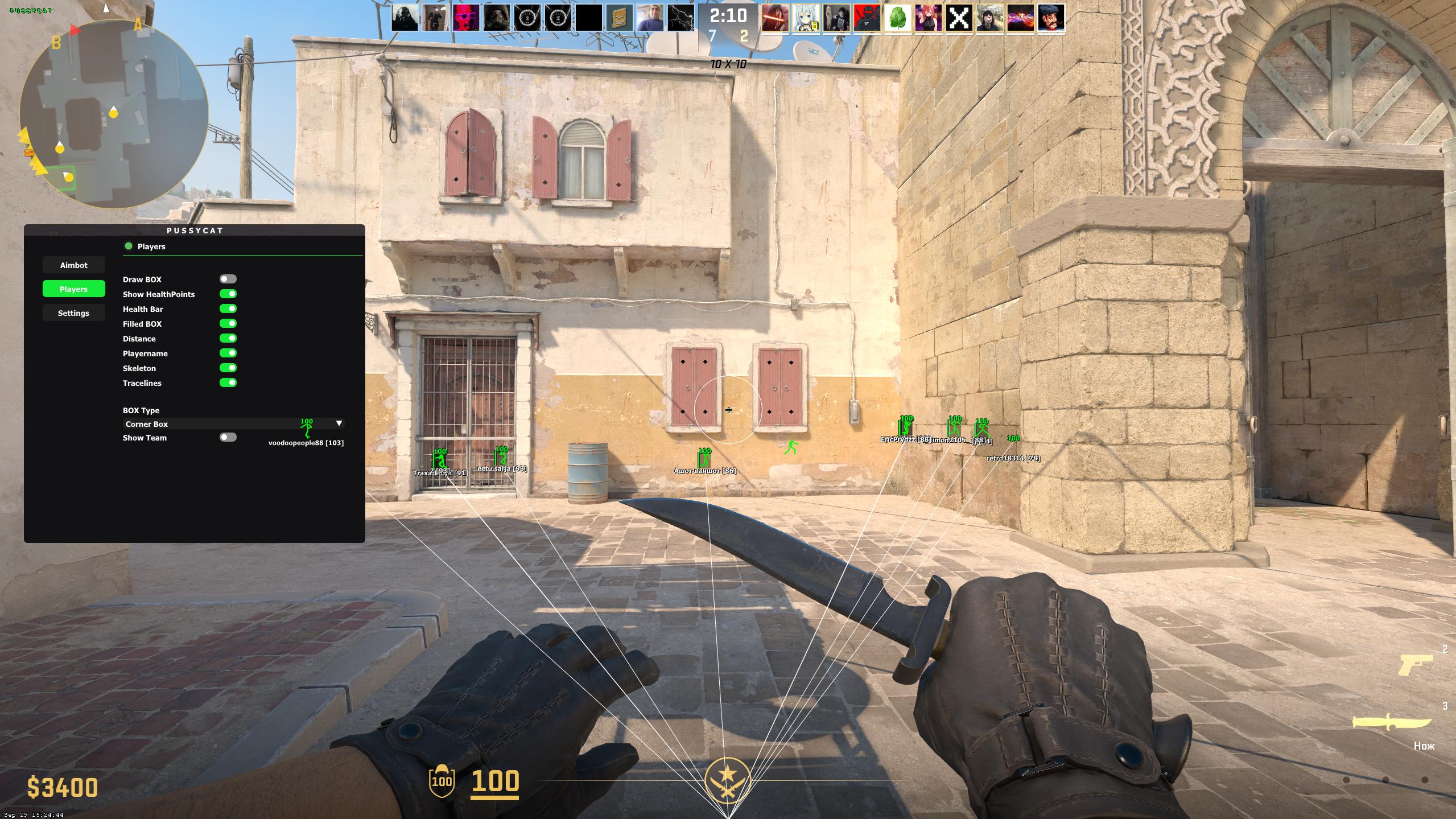 Counter-Strike 2 Pussycat Hack | Latest Cheats (2025)